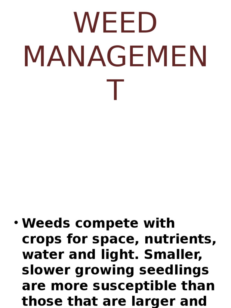 Weed Management | PDF | Herbicide | Weed