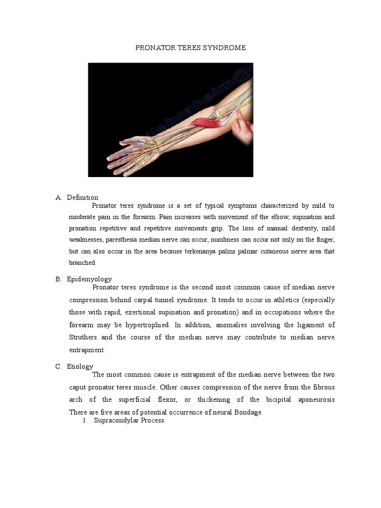 Pronator Teres Syndrome Guide | PDF | Elbow | Anatomical Terms Of Motion