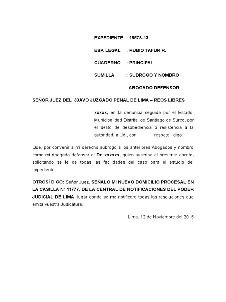 Subrogo y Nombro Abogado Defensor | PDF