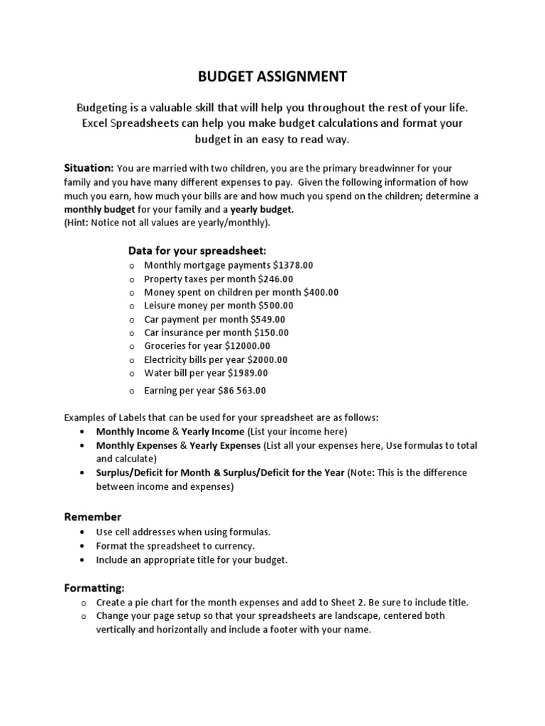 Budget Assignment | PDF