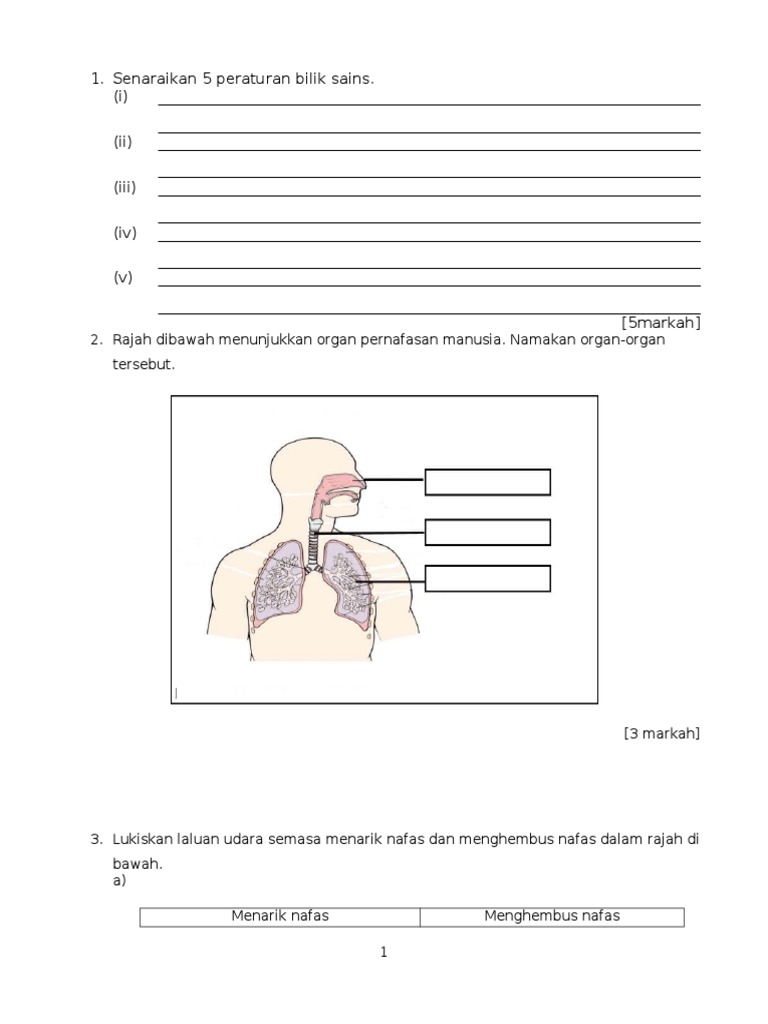 Soalan Sains Tahun 4 Kertas 2 Pdf