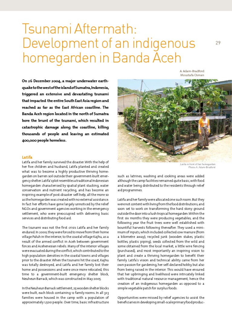 Tsunami Aftermath: Development of An Indigenous Home Garden | PDF ...