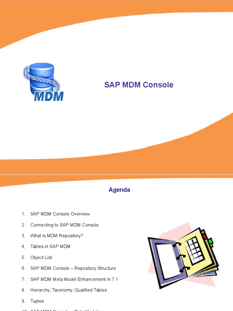Sap MDM - Console | PDF | Data Model | Data Type