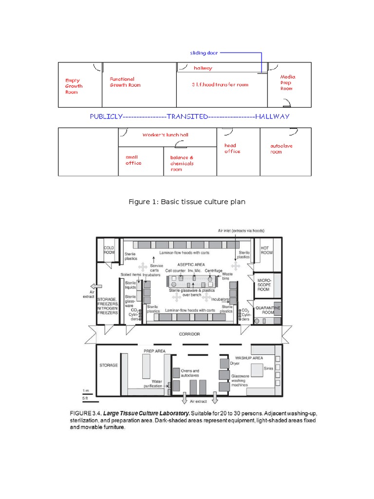 Tissue Culture Laboratory Layout Guide | PDF | Laboratories | Chemistry