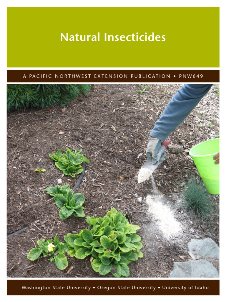 Natural Insecticides | Insecticide | Insects