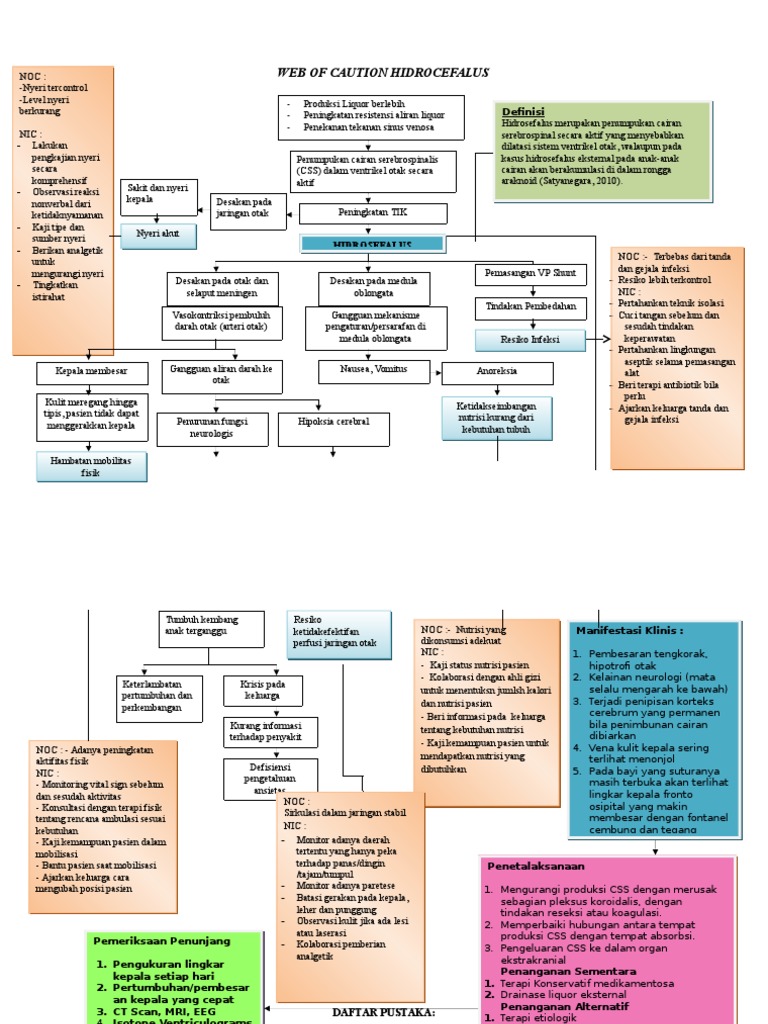 Salah Satu Contoh LP (Web of Caution Hidrocefalus) | PDF