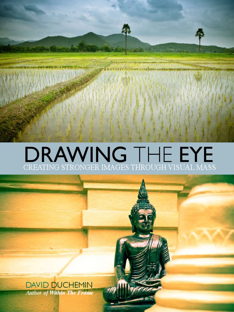 Drawing The Eye PDF | PDF | Composition (Visual Arts) | Adobe Photoshop