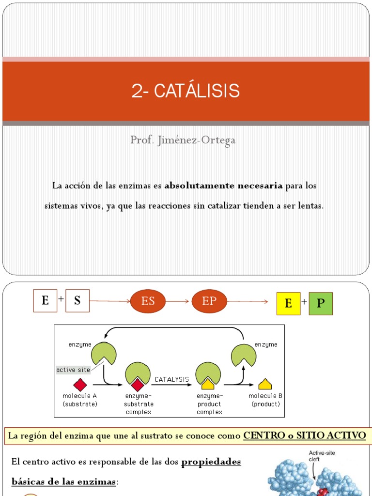 2- Catalisis.pdf | Enzima | Sitio activo