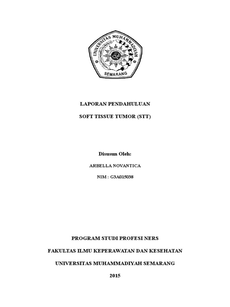 Laporan Pendahuluan STT | PDF