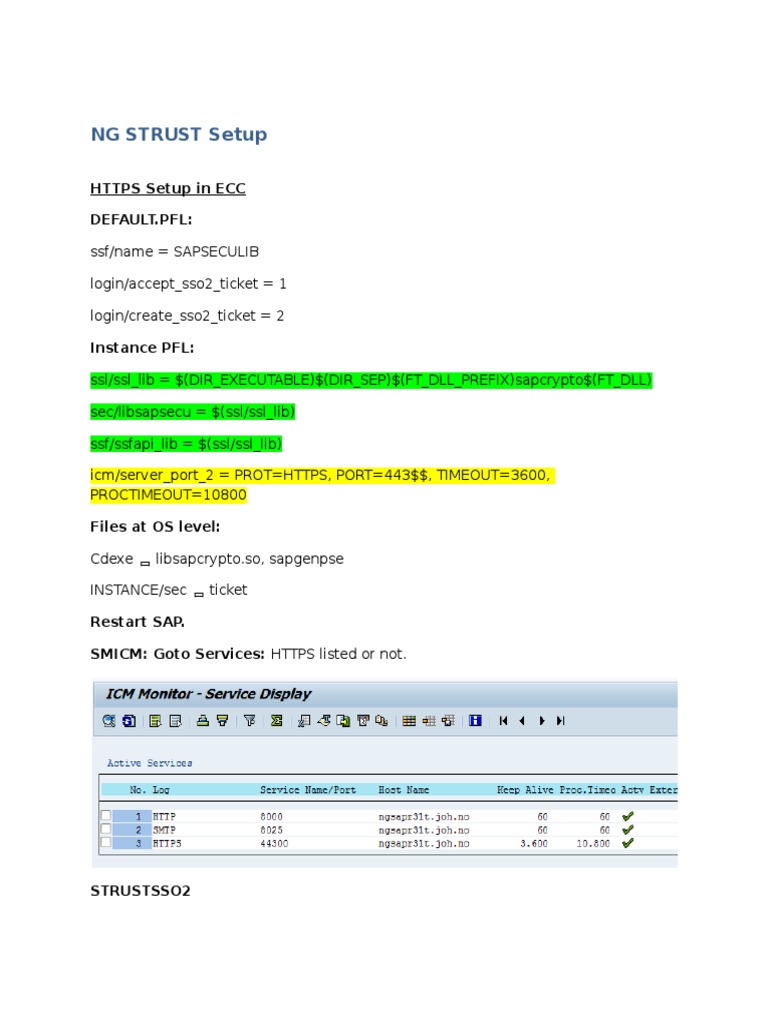 Strust Setup | PDF