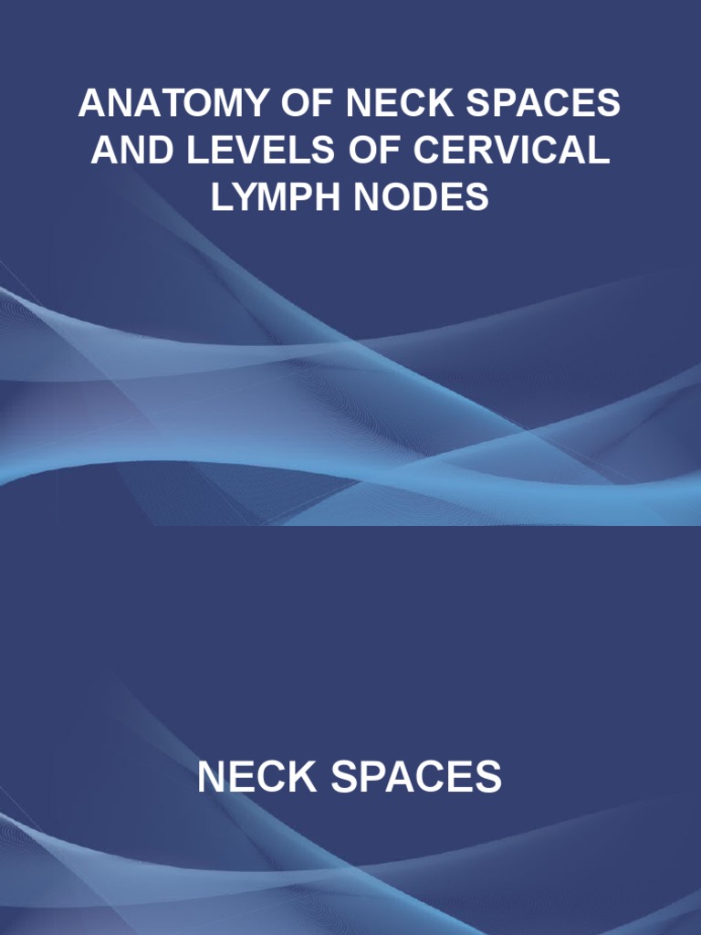 Anatomy of Neck Spaces and Levels of Cervical Lymph Nodes | PDF | Neck ...