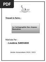 Contrôle Permanent CCPP V2 | PDF | Contrôle interne | Banques