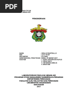 Morfologi Dan Anatomi Kepiting | PDF