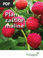 Gajenje Lubenice I Dinje | PDF