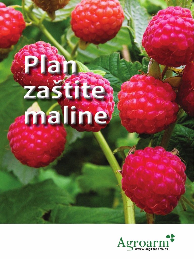 plan-zastite-MALINA.pdf