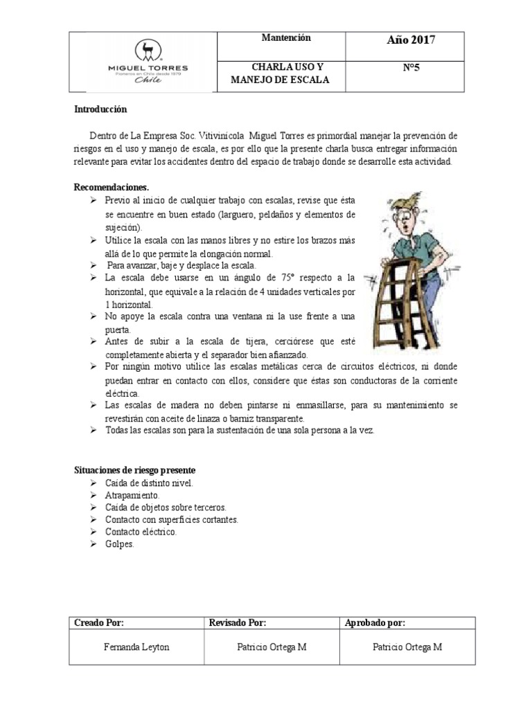 5 Charla Uso y Manejo de Escala | PDF