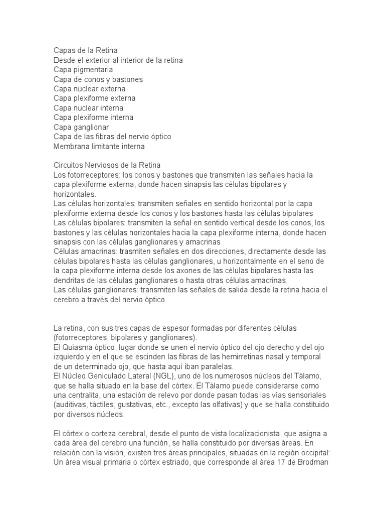 Capas de La Retina | PDF | Percepción visual | Retina