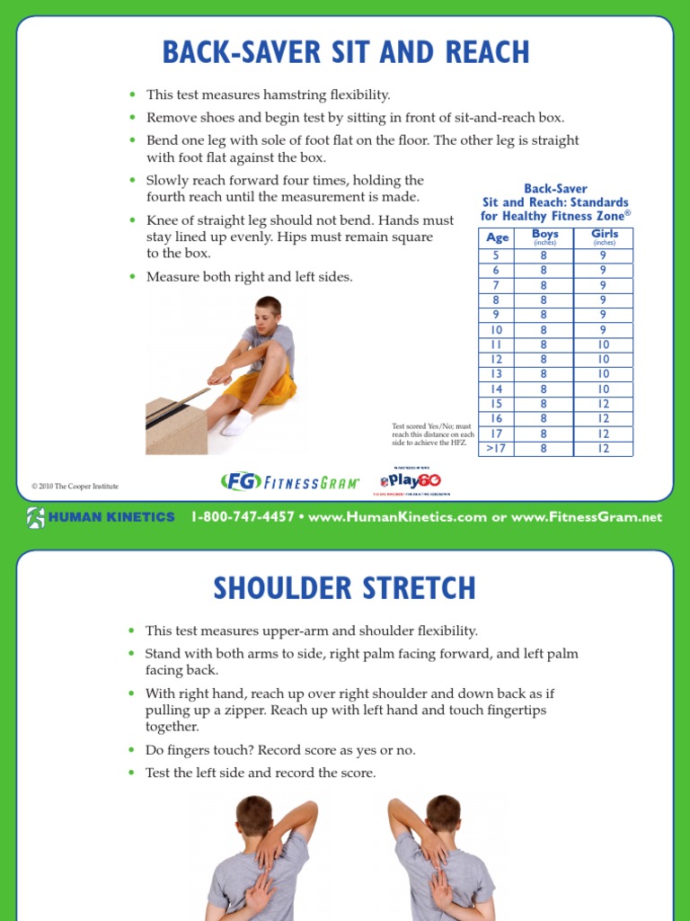 Back-Saver Sit and Reach: Standards For Healthy Fitness Zone | PDF ...