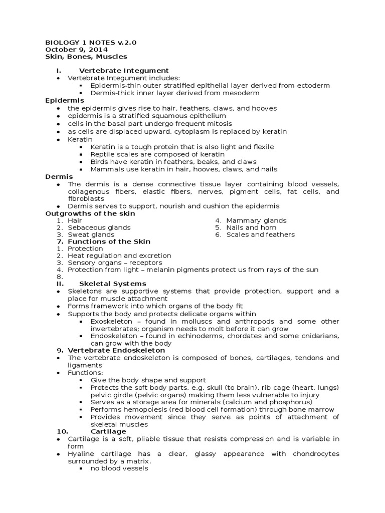UPV Bio 1 Notes | PDF | Bone | Circulatory System