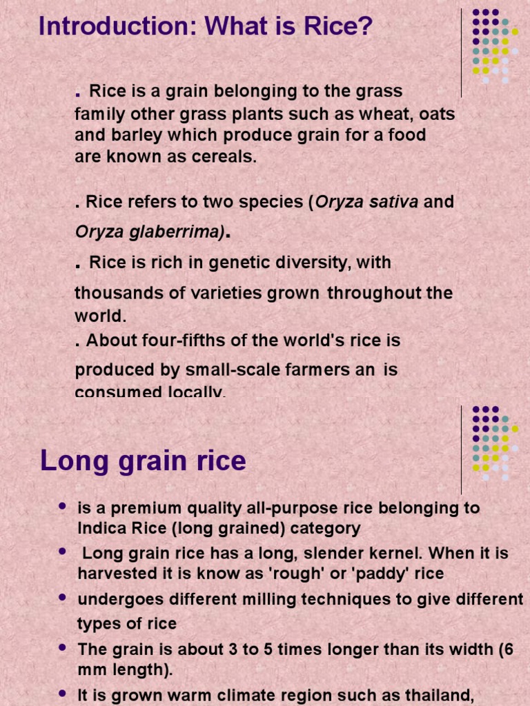 Presentation On RICE | PDF | Rice | Cereals