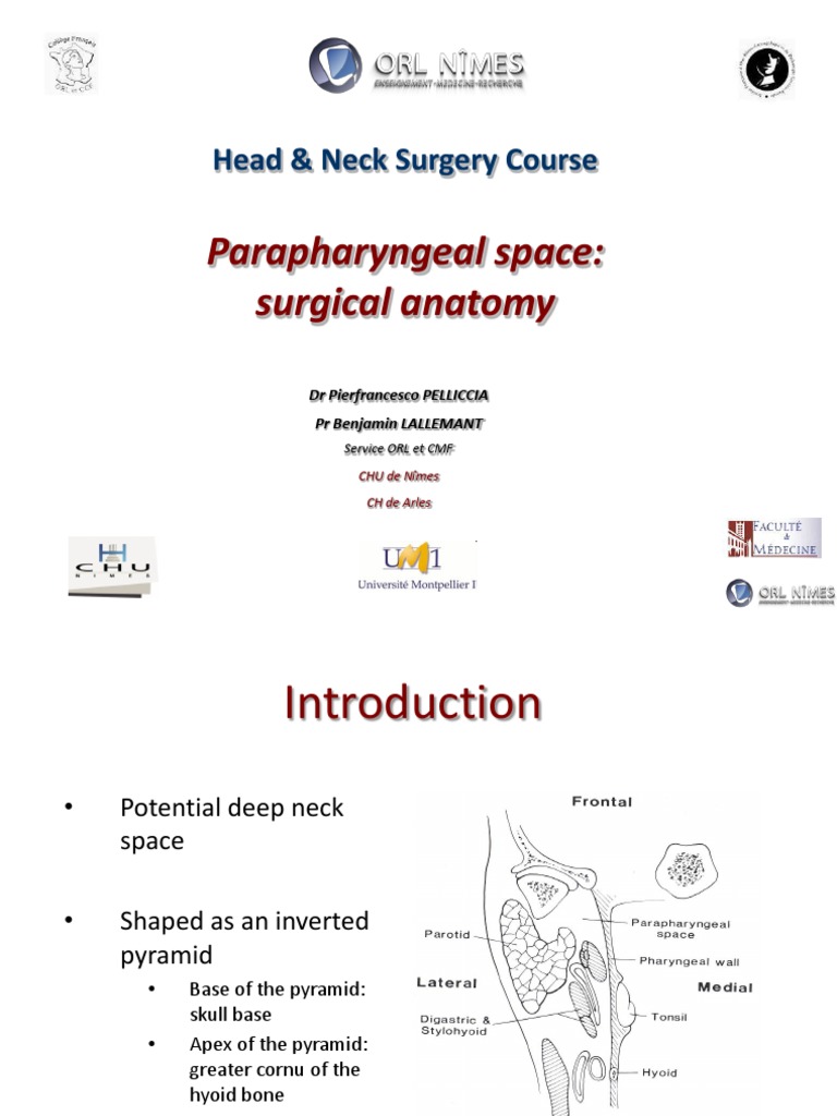 Parapharyngeal Space Anatomy | PDF | Neck | Human Anatomy