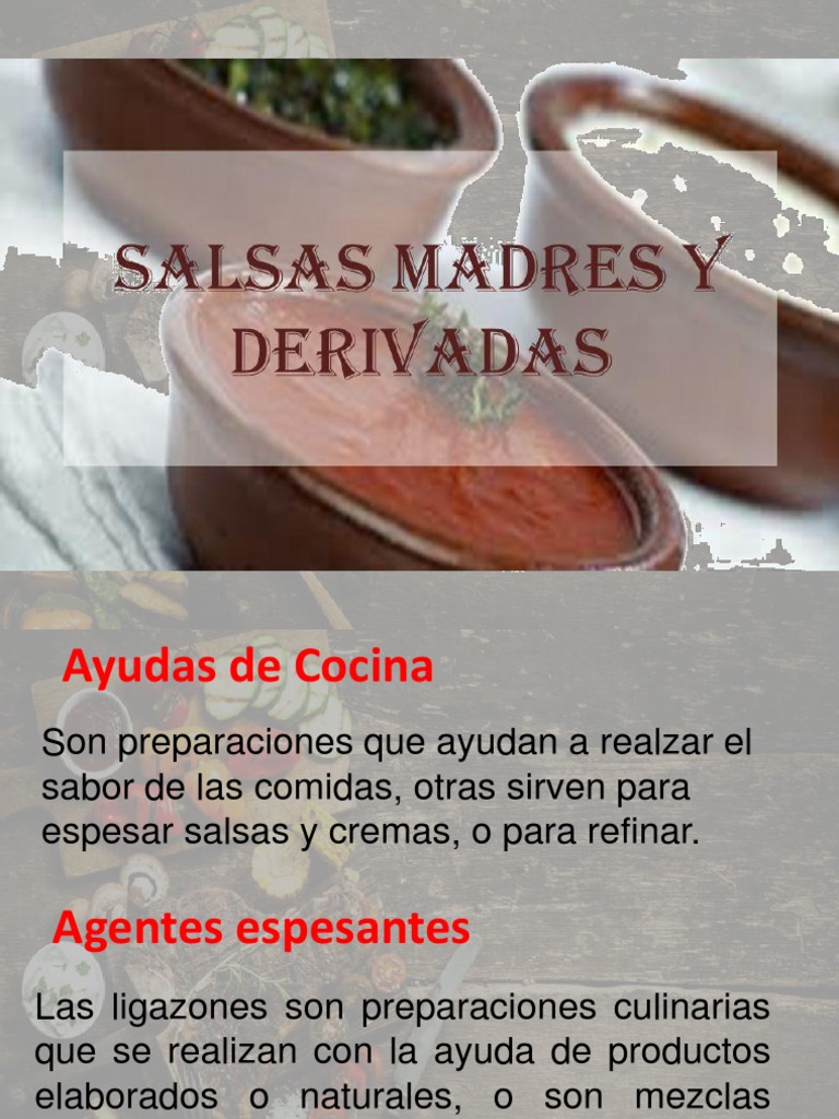 Salsas Madres y Derivadas | PDF | Stock (comida) | Salsa