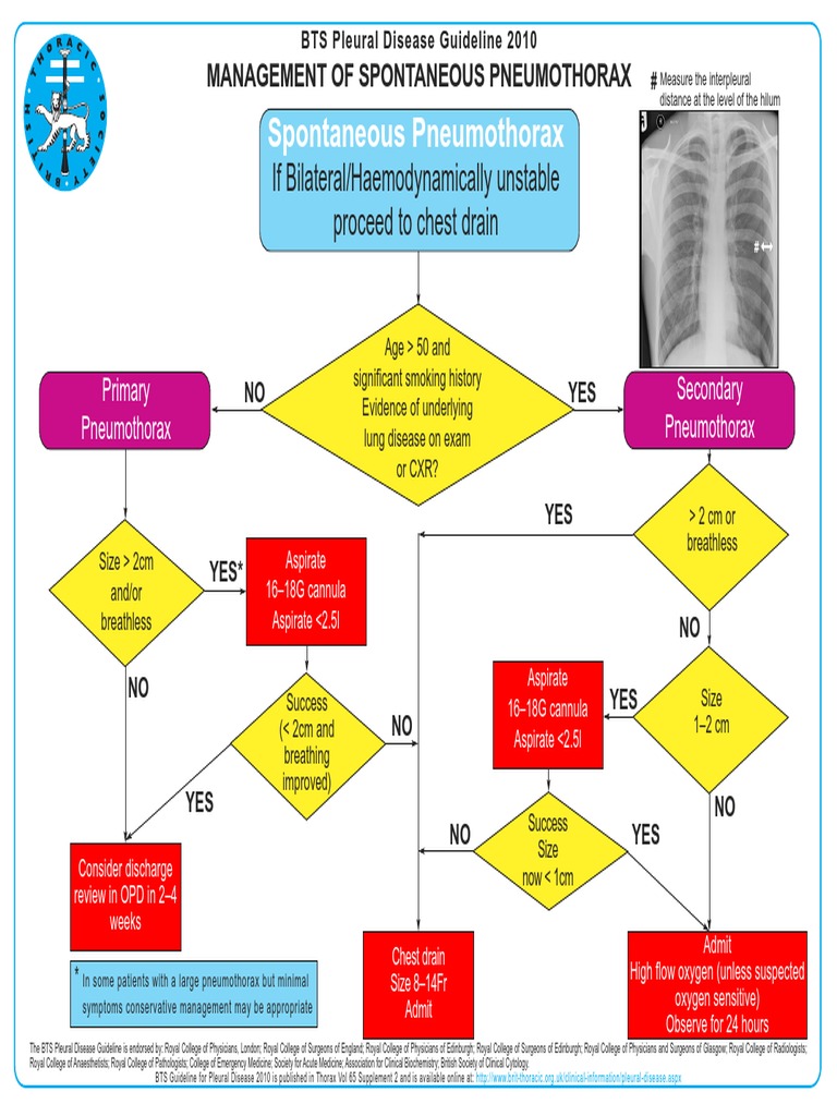 BTS Guidelines PDF | PDF | Epidemiology | Health Sciences
