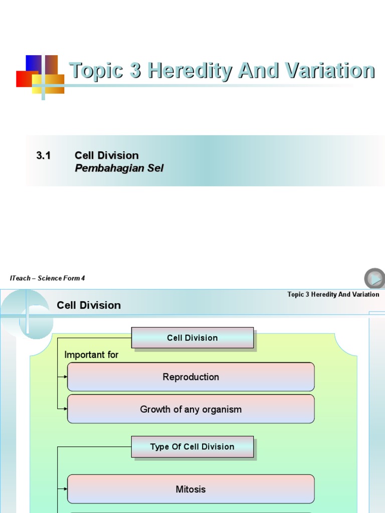 Chapter 3 Cell Division | PDF