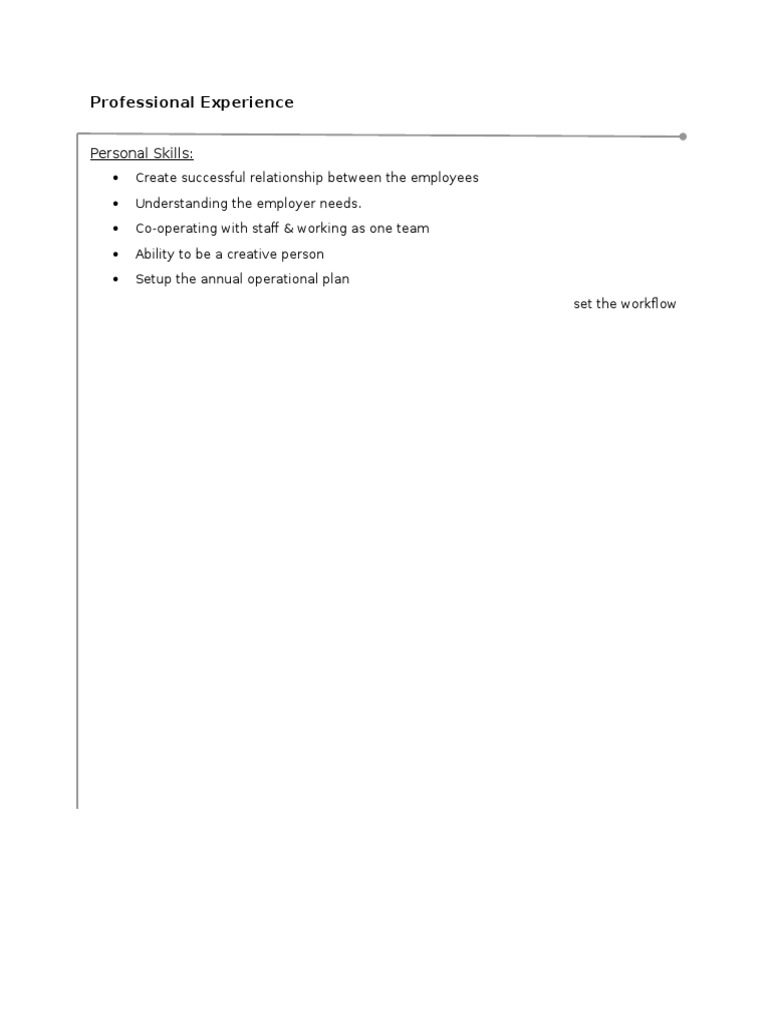 Professional Experience Overview | PDF