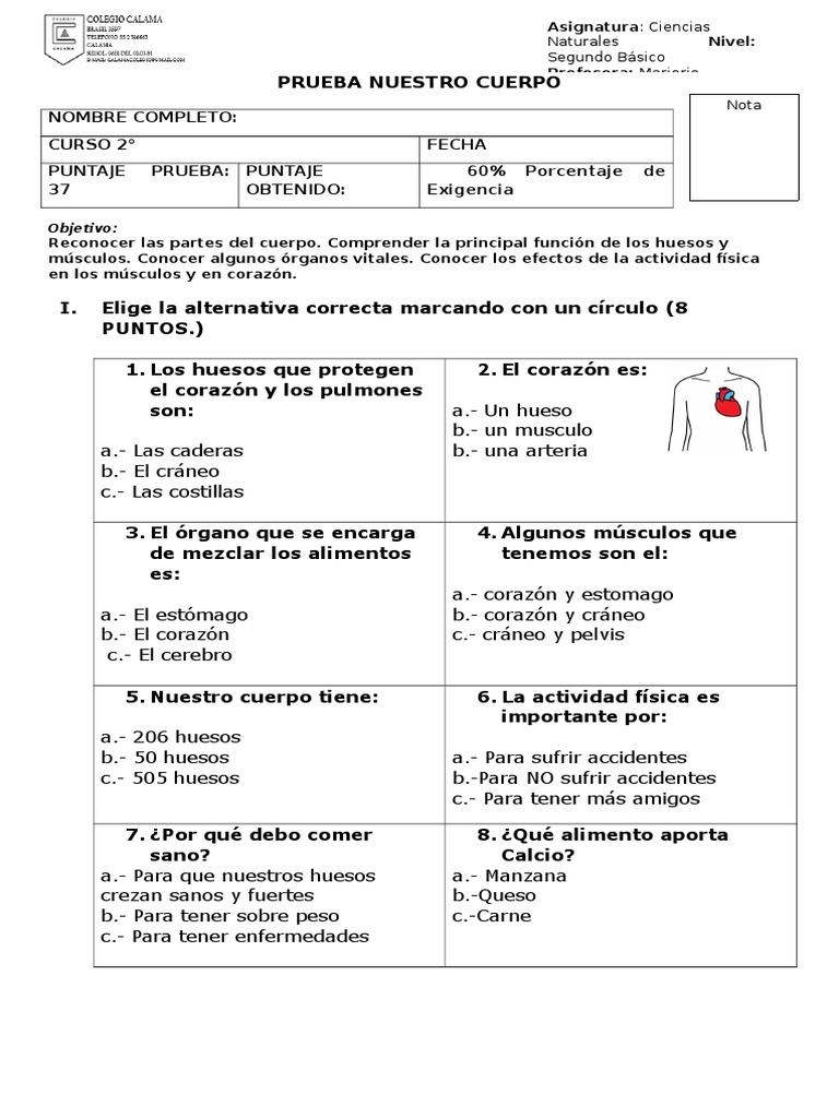 Prueba de Ciencias: Cuerpo Humano 2° Básico | PDF | Corazón | Hueso