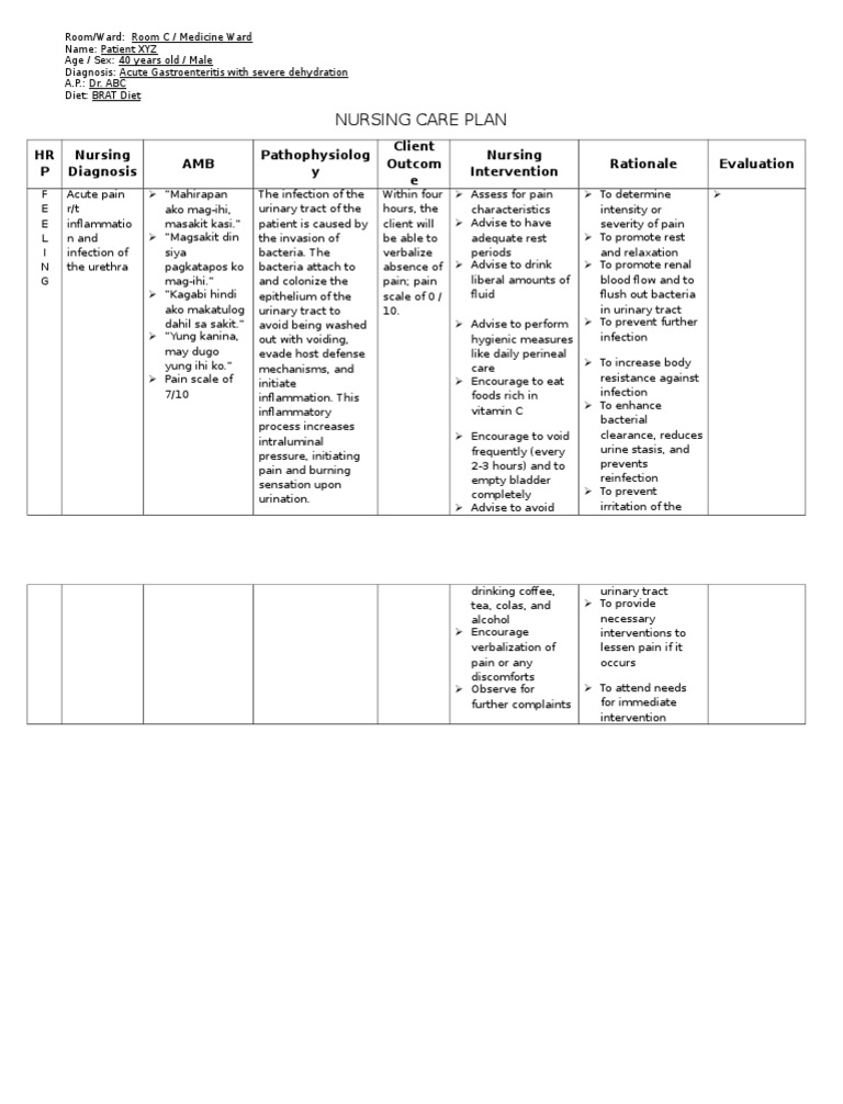 Nursing Care Plan - Urinary Tract Infection | Download Free PDF | Urine ...