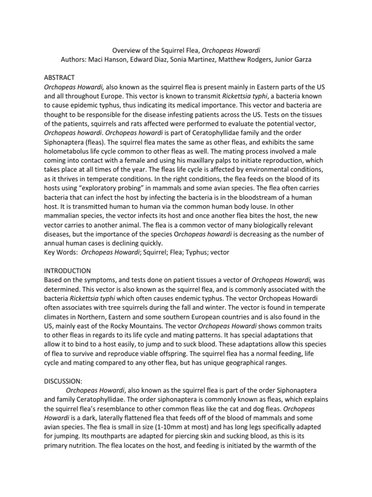 Squirrel Flea Overview: Orchopeas Howardi | PDF | Pupa | Infection
