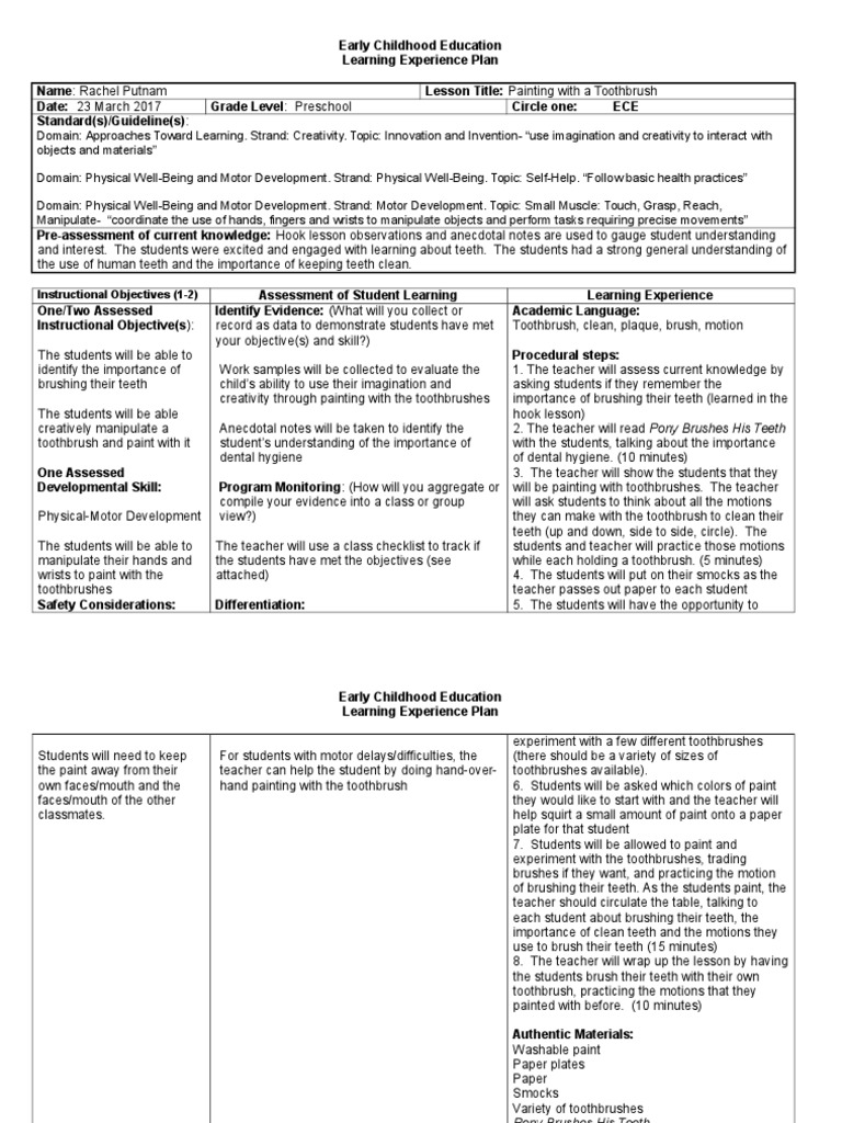 Edt 313 Lesson 2 and 317 Visual Art Lesson | PDF | Toothbrush | Early ...