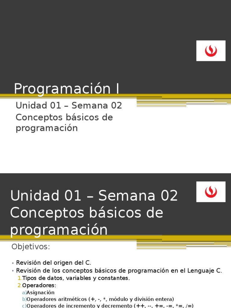 01-4 Conceptos Basicos de Programacion | PDF | Tipo de datos | Lenguaje ...