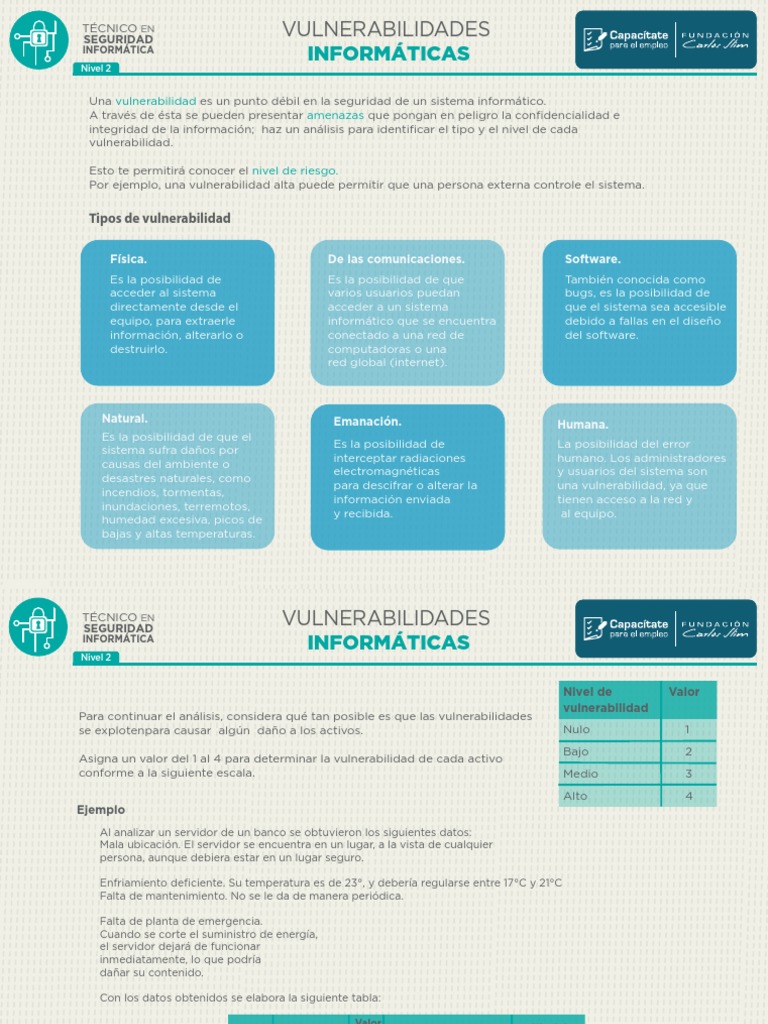 Vulnerabilidades Informaticas - INFOGRAFIA | PDF | Vulnerabilidad | La ...