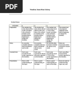 Timeline Rubrics | PDF | Rubric (Academic) | Cognition