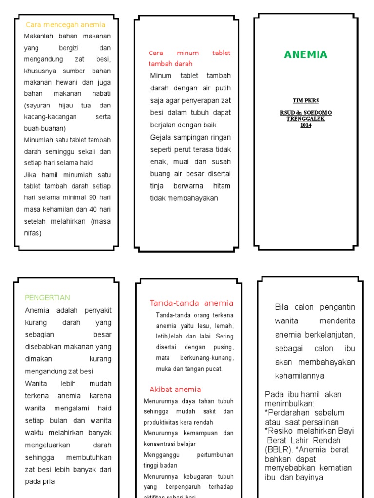 Leaflet Anemia | PDF