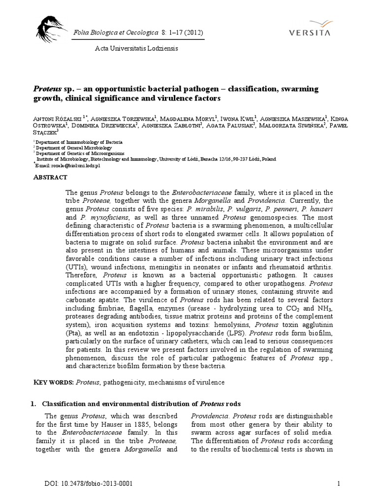 Pathogenic Proteus Mirabilis | PDF | Lipopolysaccharide | Bacteria