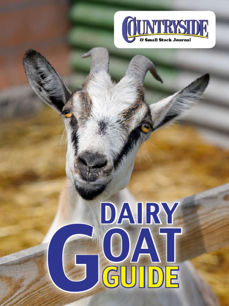 Raising Dairy Goats Guide Includes Subscription Offer | PDF | Goat | Hay