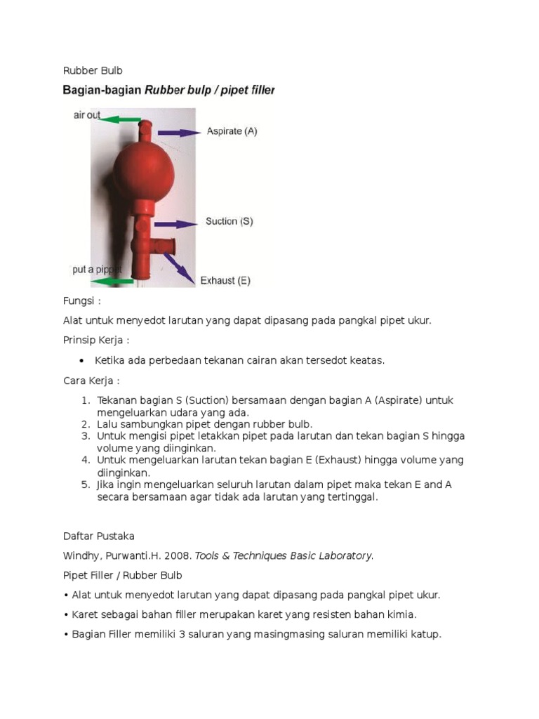 Fungsi dan Cara Kerja Rubber Bulb | PDF | Kajian Bahasa Asing | Griya ...