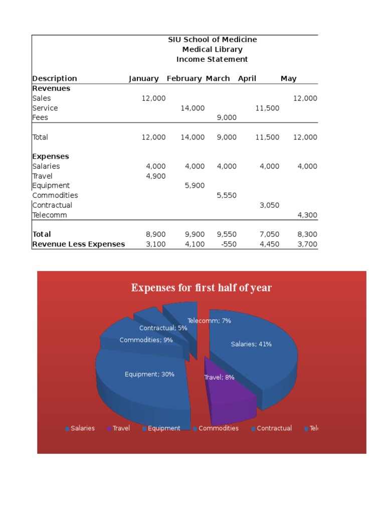 Charts For An Income Statement | PDF | Revenue | Financial Accounting