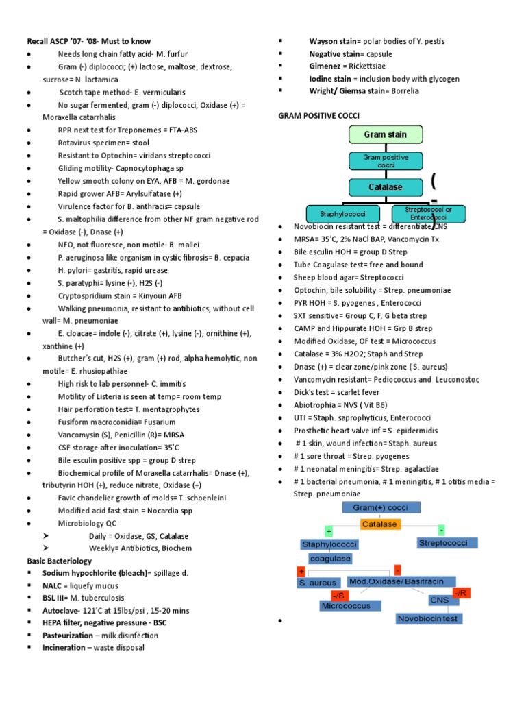 Recall Ascp Mirobiology | PDF | Streptococcus | Virus