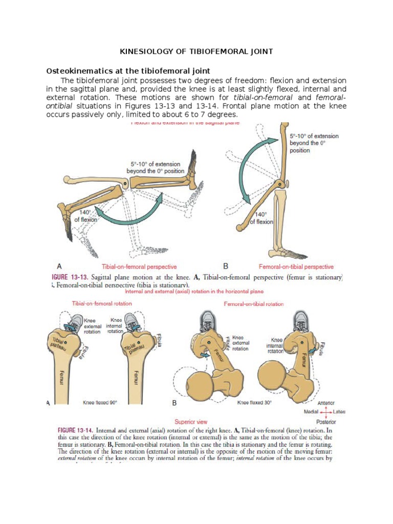 Kinesiology of Knee Joint | PDF