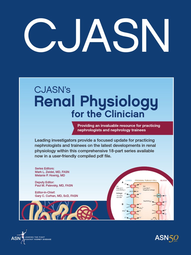 Renal Physiology For The Clinician Full Series CJASN PDF | PDF | Kidney ...
