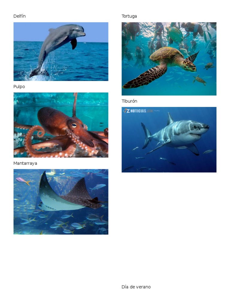 5 Animales Acuáticos Esenciales | PDF