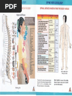 Byol Maridian Chart | PDF | Energy Therapies | Energy (Esotericism)