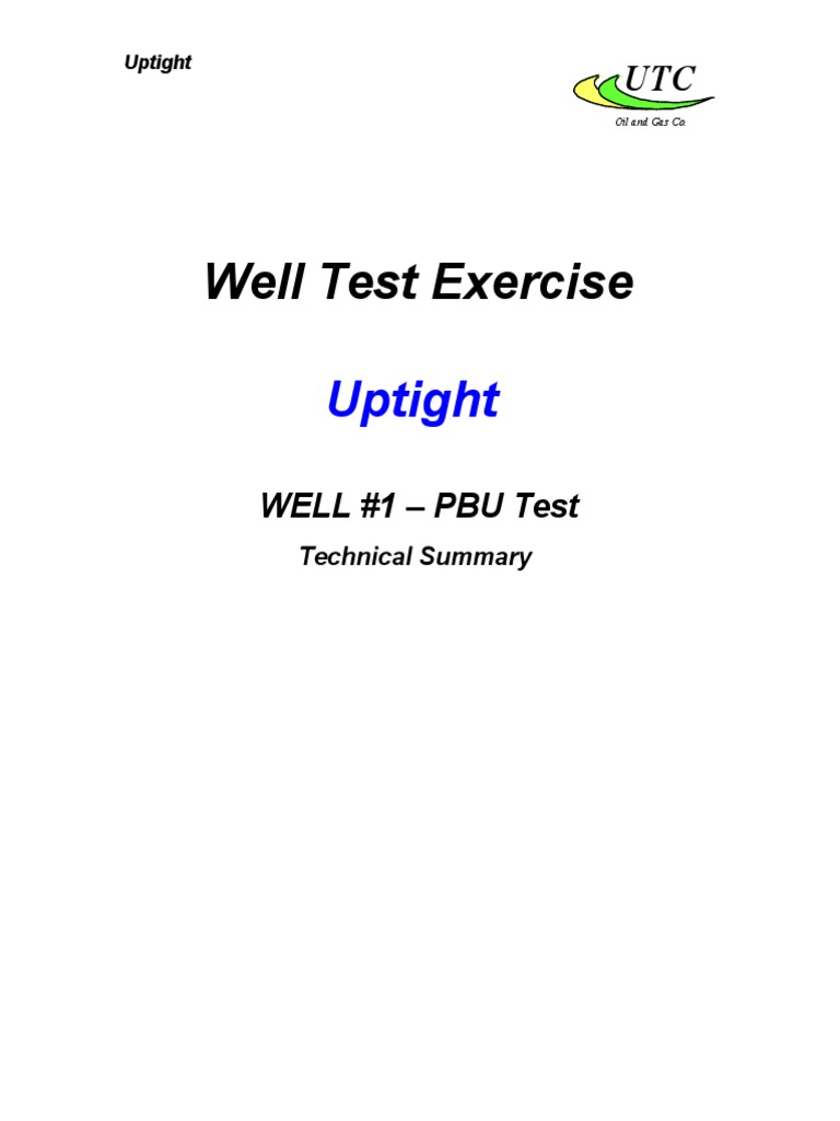 Well Test Exercise | PDF