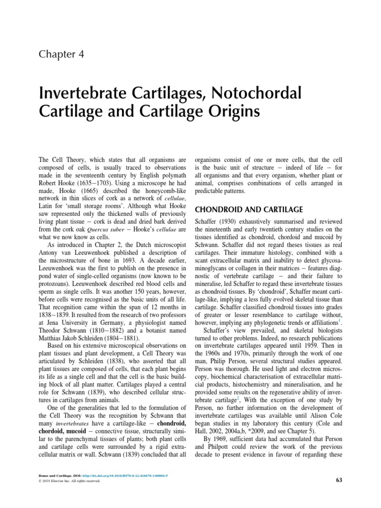Invertebrate Cartilages, Notochordal Cartilage and Cartilage Origins ...
