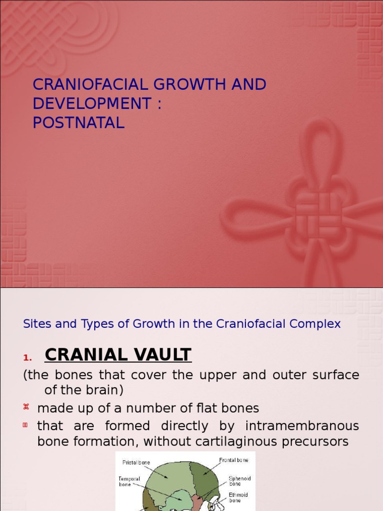 Craniofacial Growth and Development Postnatal Part2 | PDF | Skull | Bone