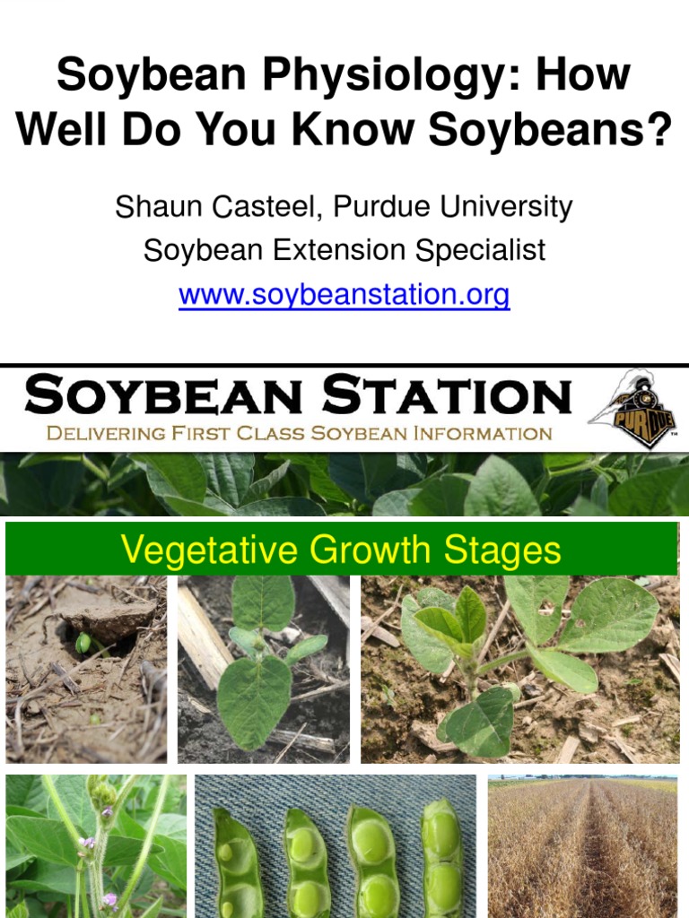 Soybean Physiology. PURDUE PDF | PDF | Germination | Seed